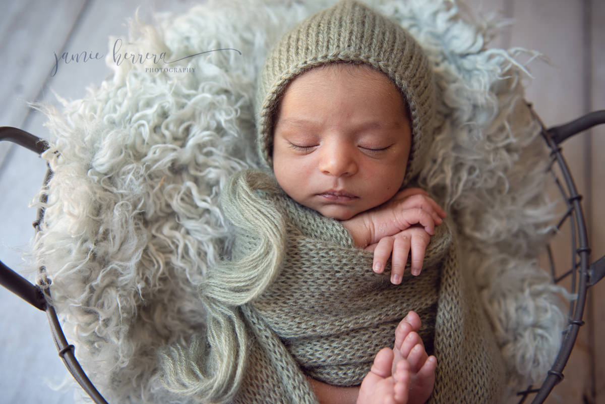Parker, Colorado Newborn Baby Pictures | Rana » Jamie Herrera Photography